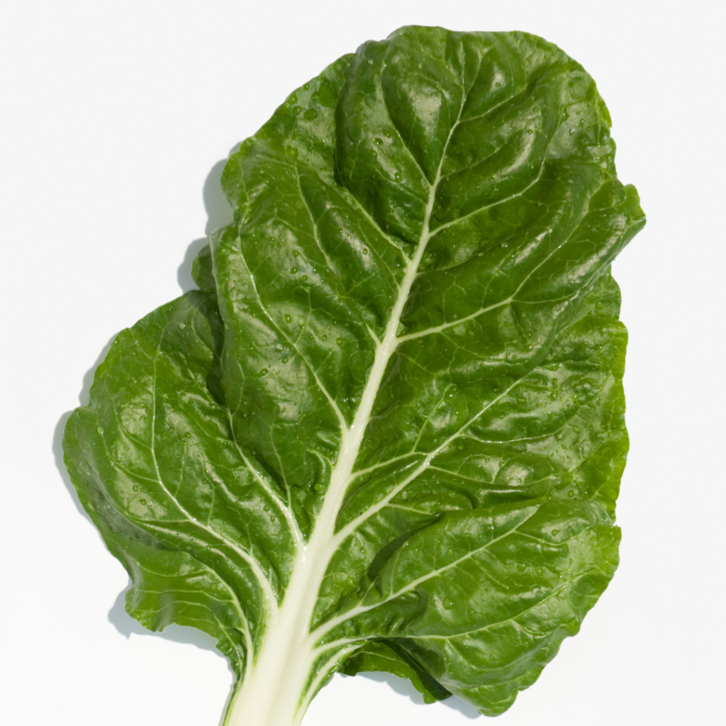 Les légumes C.Q.F.D. : Un approvisionnement Bio et local de qualité - CQFD